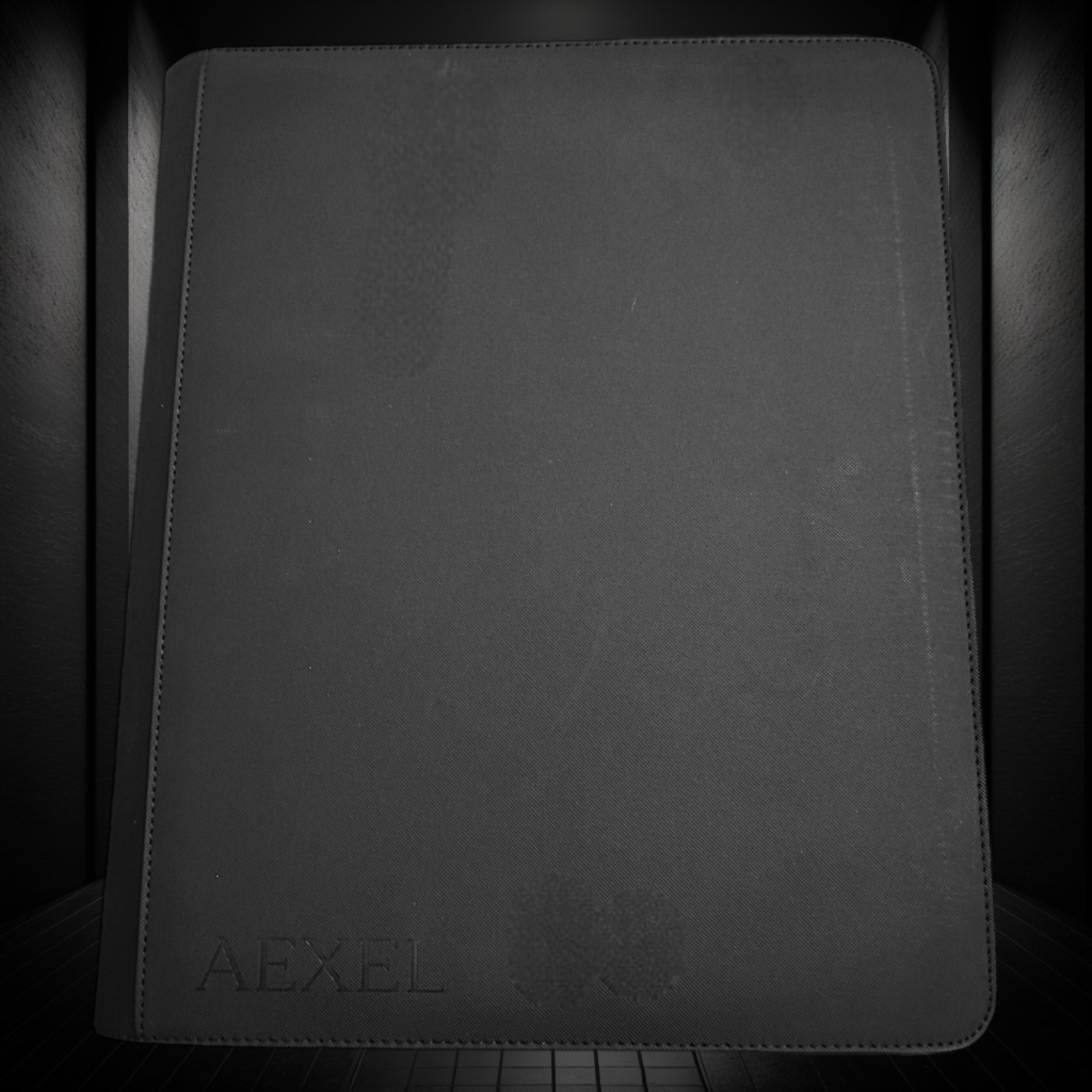 Aexel PSA/CGC/Beckett Slab Binder ( Stores 48 Slabs ) Black Color ...